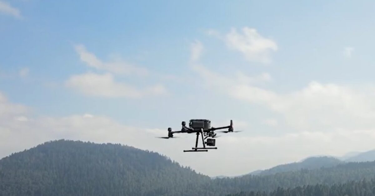 Monarch Butterfly Fund