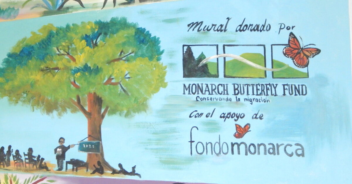 Monarch Butterfly Fund
