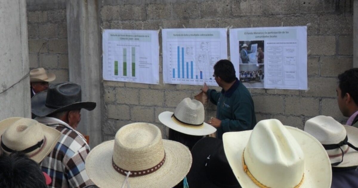 Monarch Butterfly Fund