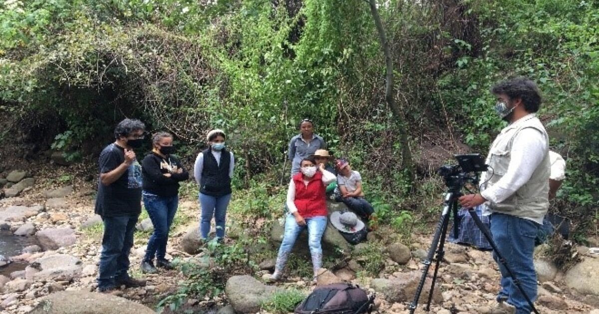 Monarch Butterfly Fund