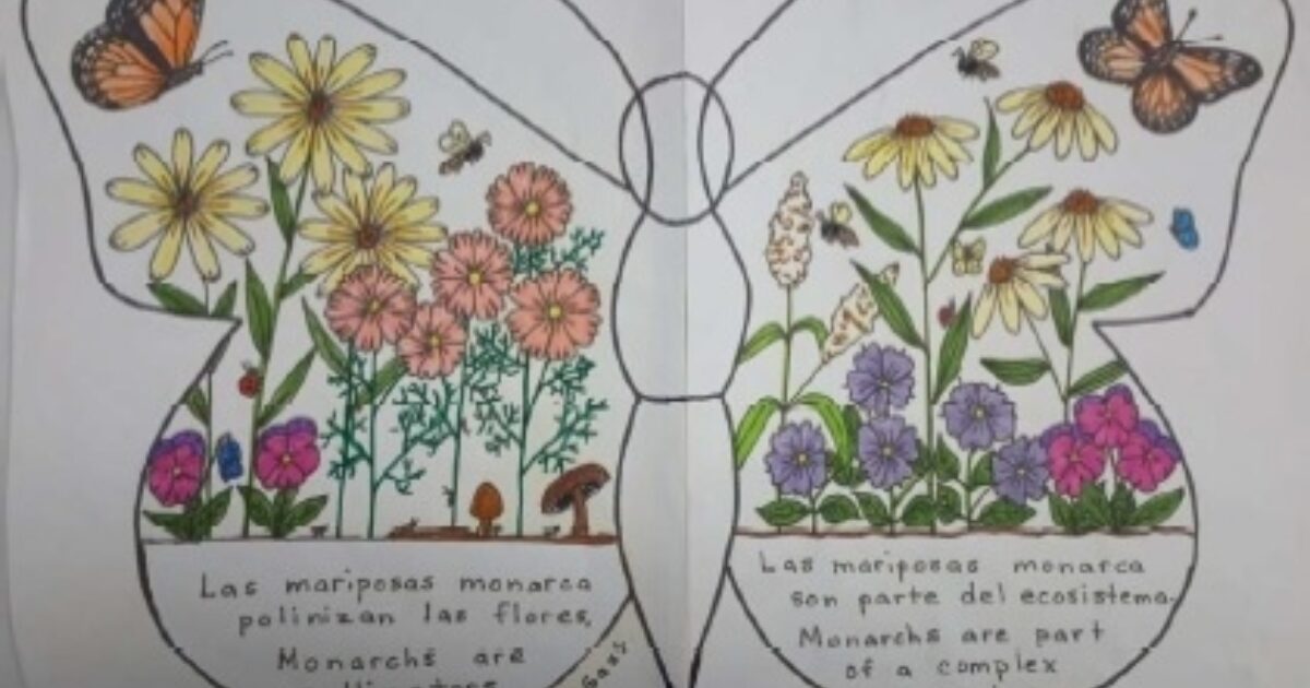 Monarch Butterfly Fund